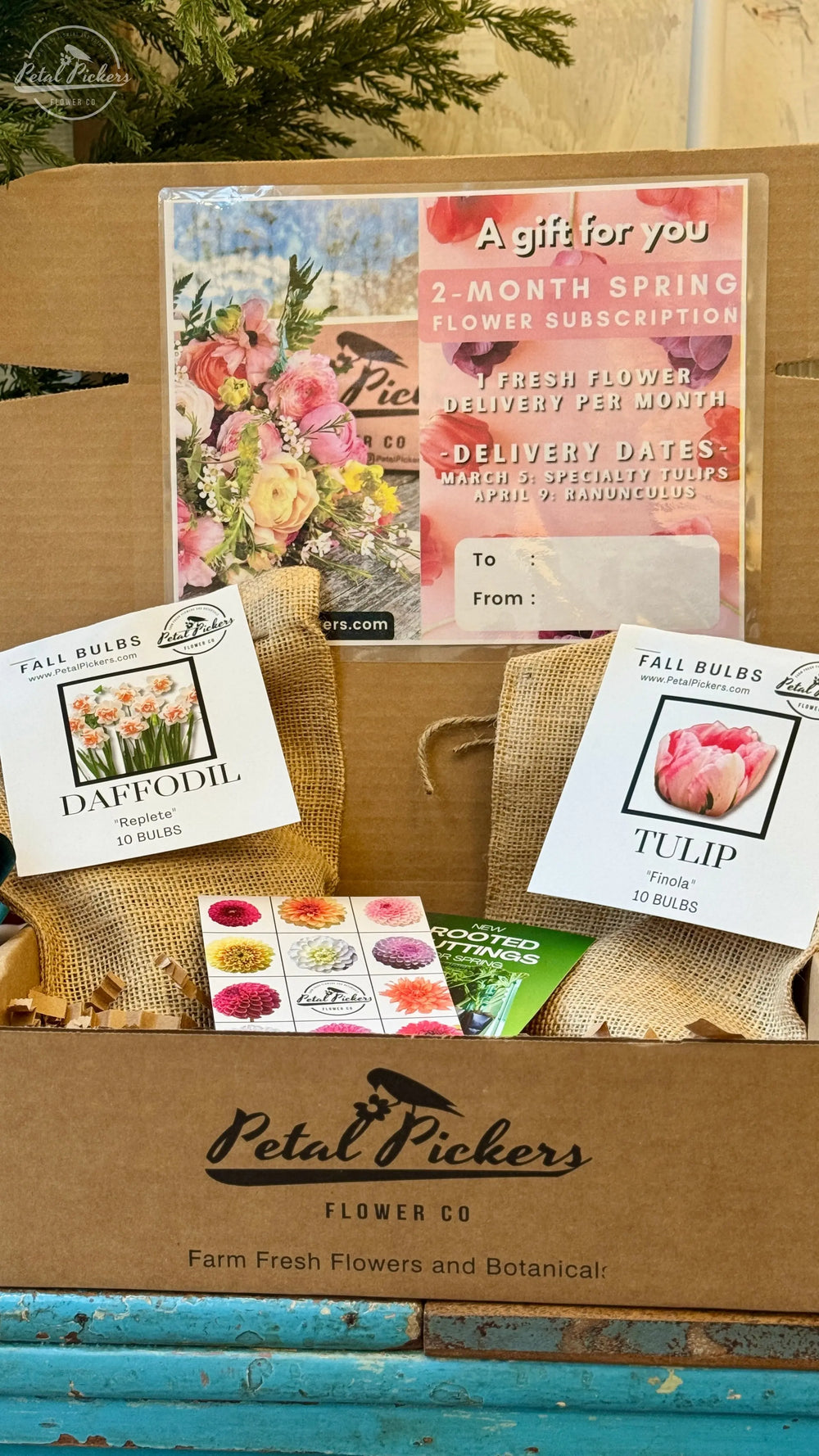 Fresh Cut Flowers and Dahlia Tubers – PetalPickers RETAIL